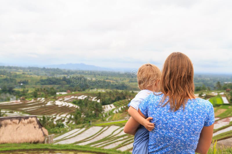 Family in Rice Fields of Bali Stock Photo - Image of holding, outdoor ...