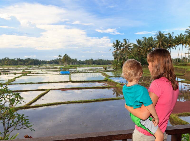 Family in Rice Fields of Bali Stock Photo - Image of holding, outdoor ...