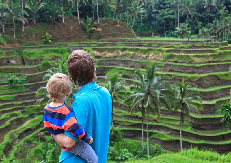 Family in Rice Fields of Bali Stock Photo - Image of holding, outdoor ...