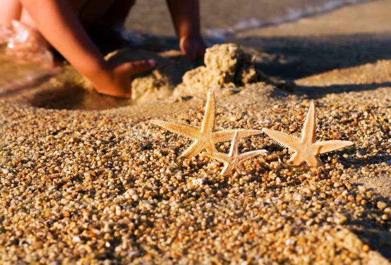 Family of Sea Stars in the Sand Stock Photo - Image of play, shore ...