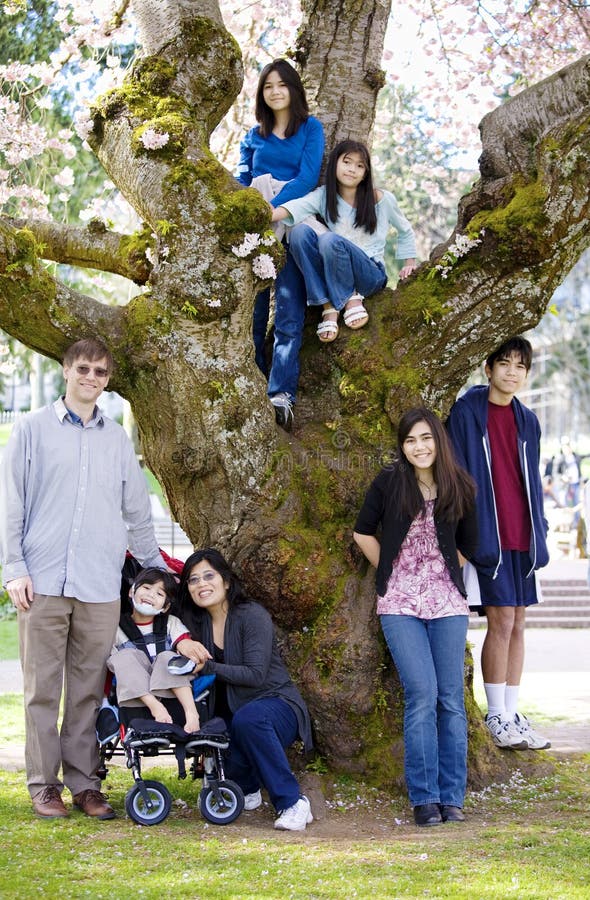 Family of Seven by Large Cherry Tree in Full Bloom Stock Image - Image ...
