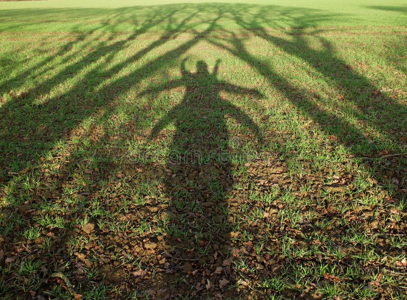 Family Shadow Shapes Trees Grass Stock Photos - Free & Royalty-Free ...