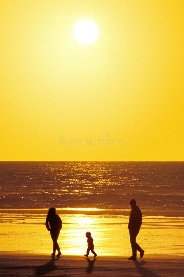 Family silhouette on beach stock photo. Image of play - 17506040