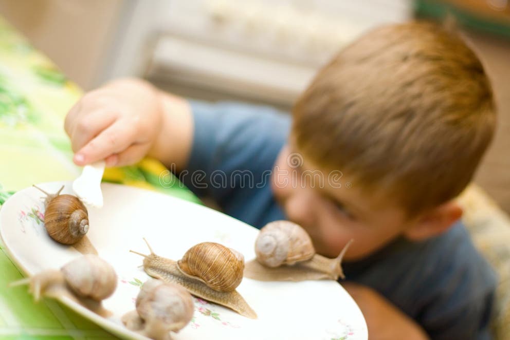 Family of snails stock image. Image of person, shell - 12089139