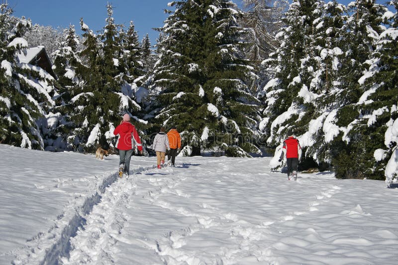 Family in snow stock photo. Image of posture, release - 1826960