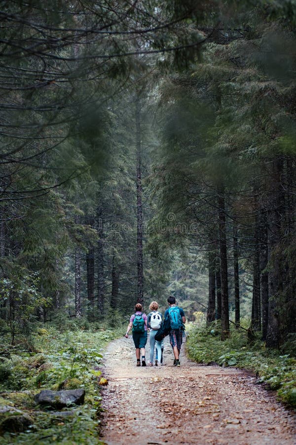 Family Spending Vacation on Wandering with Backpacks Stock Photo ...