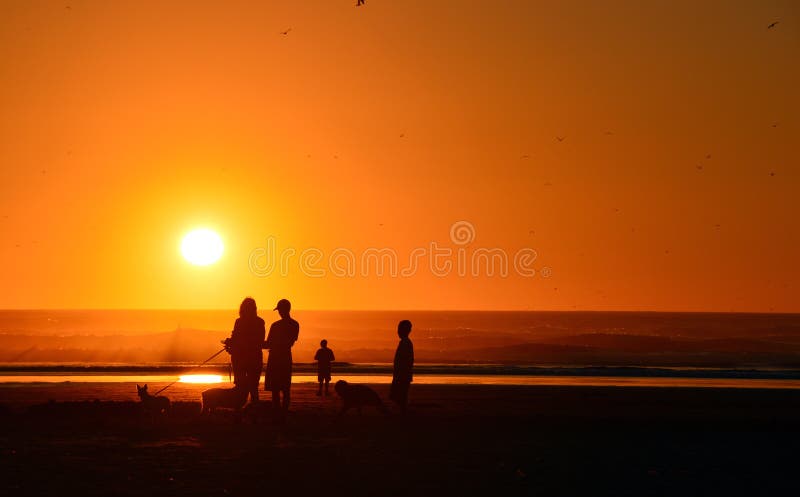 Family during Sunset on the Oregon Coast Editorial Stock Image - Image ...