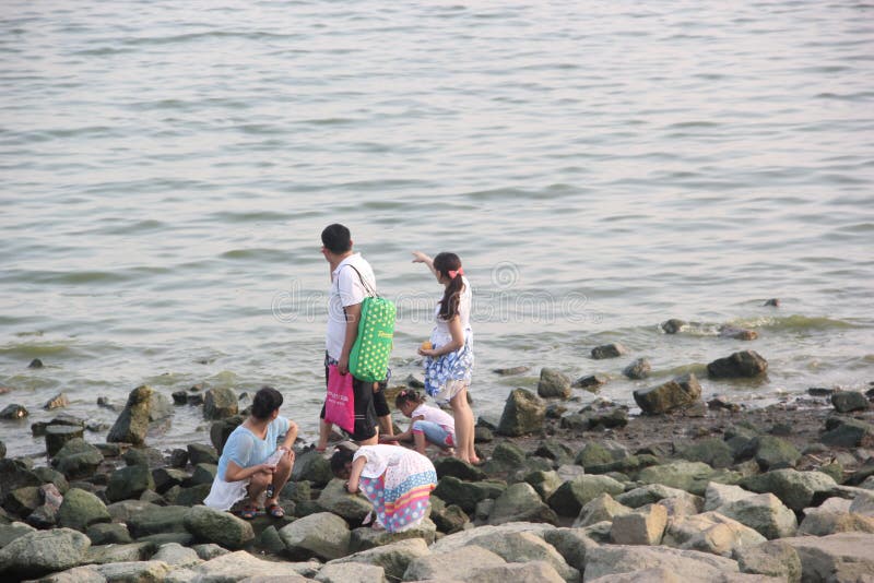 Family Take a Walk on the Beach in Shenzhen Bay Editorial Stock Photo ...