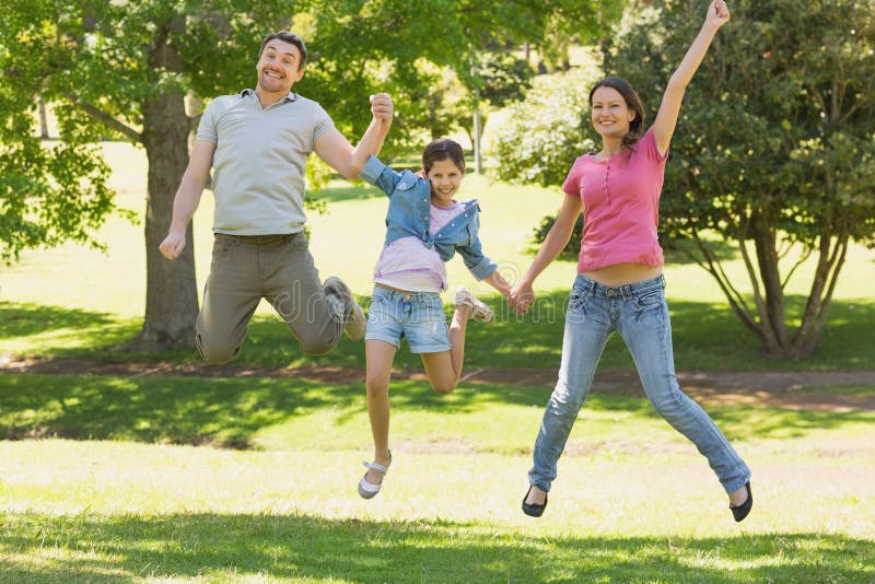 Family Jumping in the Air stock photo. Image of family - 7942154