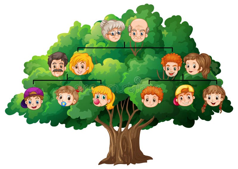 Family Tree Stock Vector - Image: 47456034