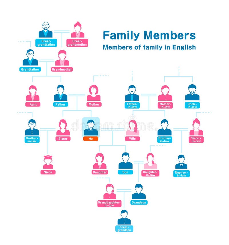 Family Tree Members of Family Vector Illustration Stock Vector ...