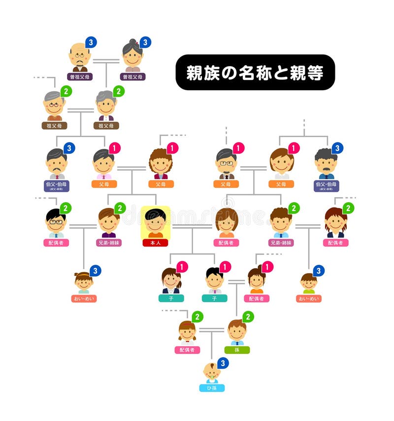 Family Tree Members of Family Vector Illustration Stock Vector ...