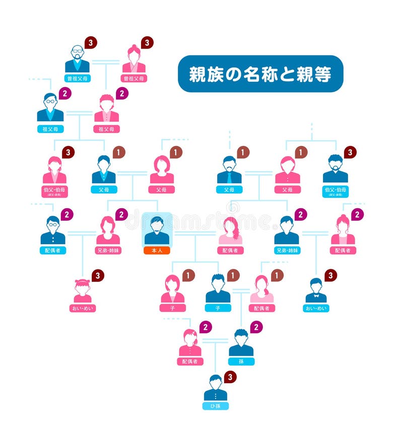 Family Tree Members of Family Vector Illustration Stock Vector ...