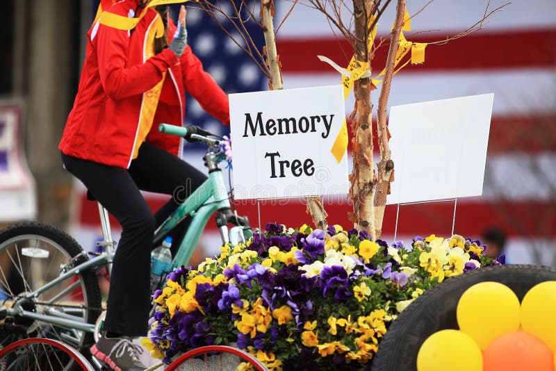 Family Tree, stock photo. Image of tree, growth, parade - 30873004