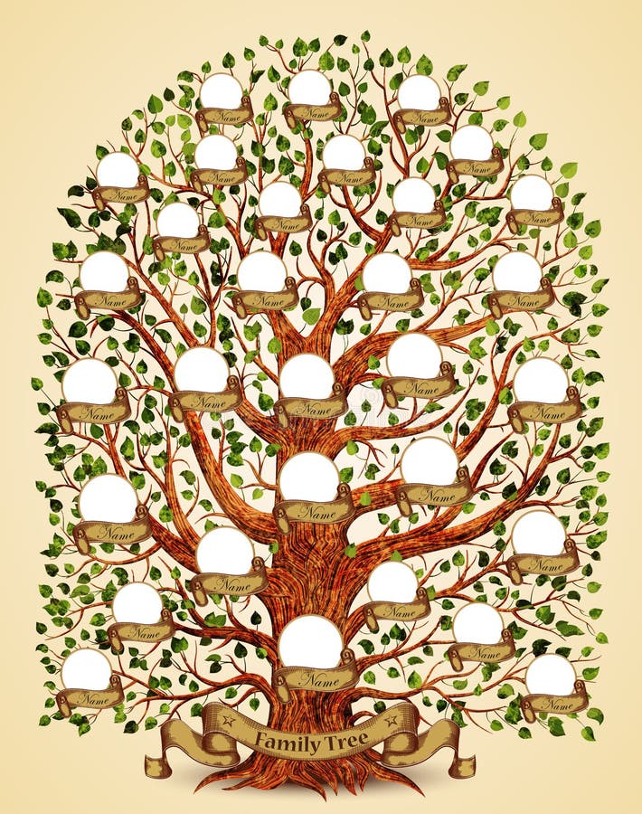 Family Tree Template Vintage Vector Stock Vector - Illustration of ...