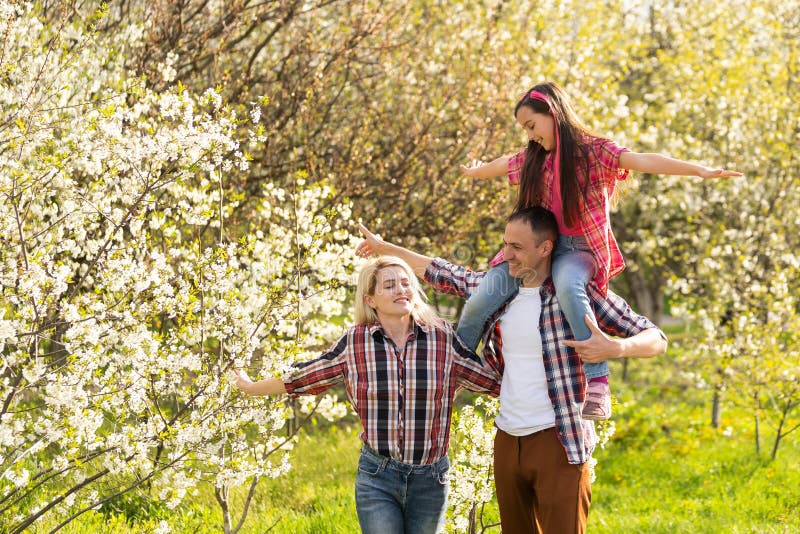 Family Walk the Cherry Trees Stock Image - Image of girl, child: 248594483