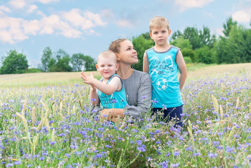 Family Walk in the Cornflower Field Stock Image - Image of child ...