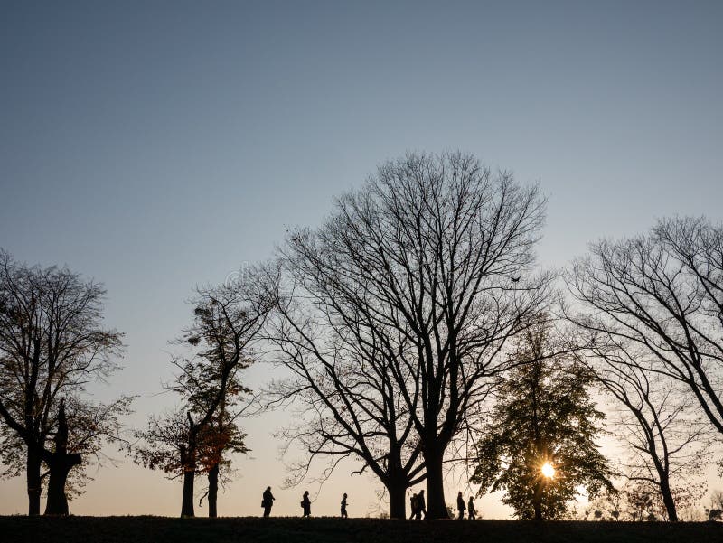 A Family Walk on a Sunday Afternoon in the Park Stock Image - Image of ...