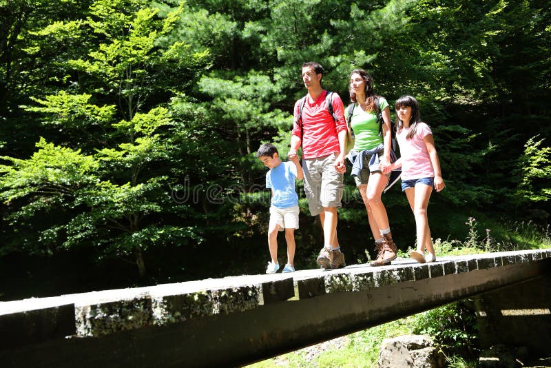 Family Walking on the Bridge in Forest Stock Photo - Image of ...
