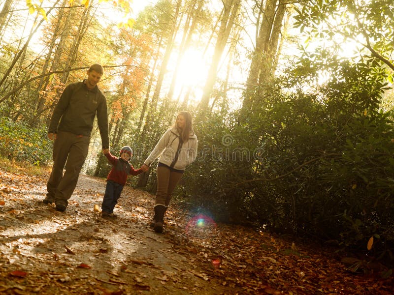 Family Walking in a Forest Surrounded by Bushes and Trees Under the ...