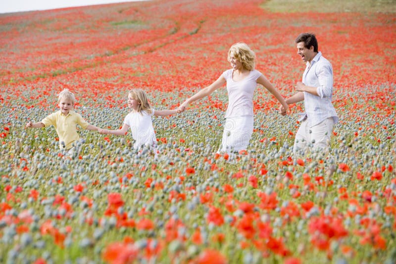 Family Walking in Poppy Field Holding Hands Stock Photo - Image of ...