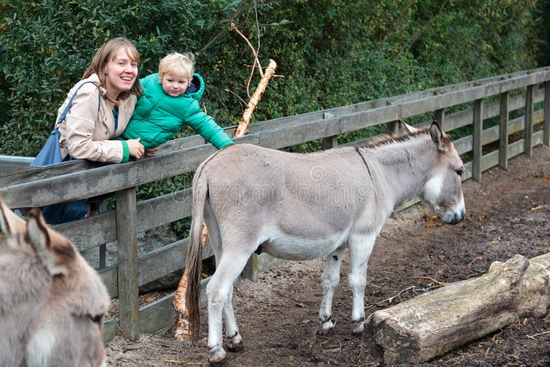 Family in Zoo stock image. Image of communication, interaction - 27309283