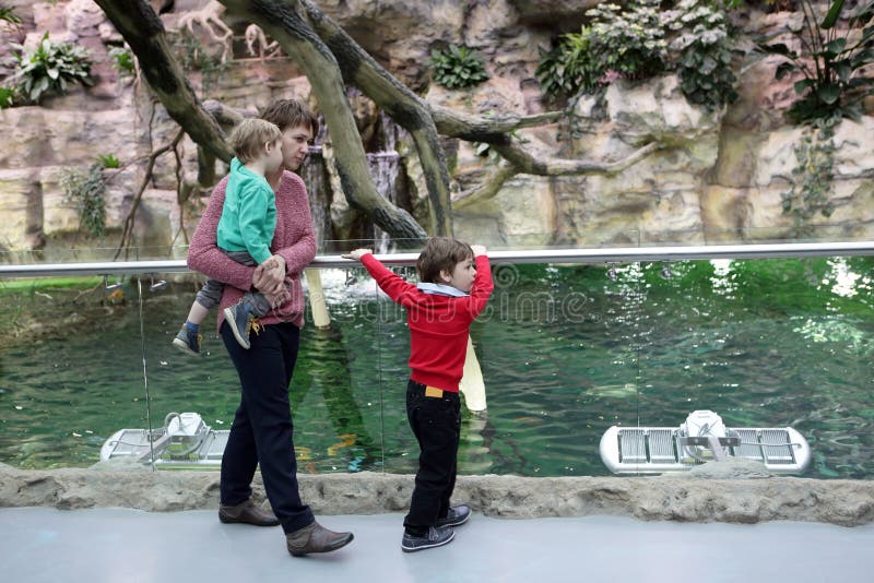 Family in zoo stock photo. Image of indoor, playful, ecology - 95715928