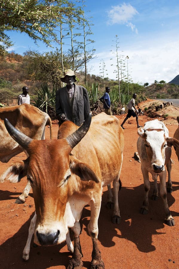 Famine editorial image. Image of famine, environmental - 12832675