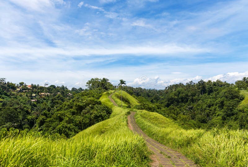 The Famous Campuhan Ridge Walk in Ubud, Bali Stock Image - Image of ...