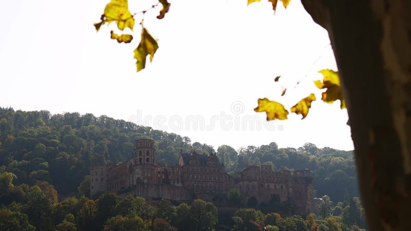 Famous Castle Ruin of Heidelberg Germany Video Stock Video - Video of ...