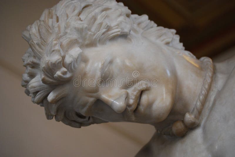 Wounded Gaul Stock Photos - Free & Royalty-Free Stock Photos from ...