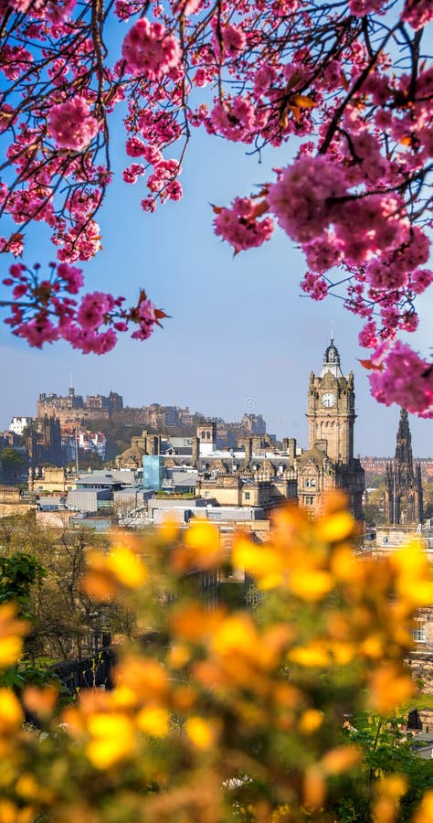 View of Old Town Edinburgh with Spring Trees in Scotland Stock Photo ...