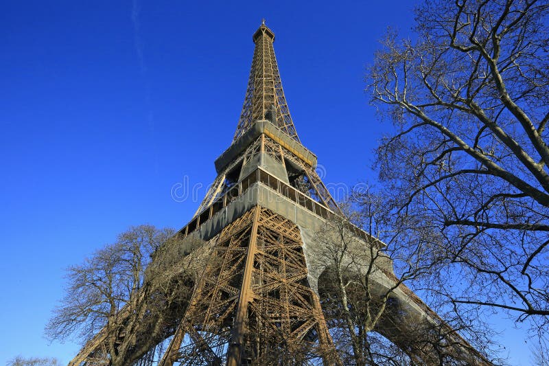 The Tower and Trees - Eiffel Tower (Tour Eiffel) Stock Photo - Image of ...