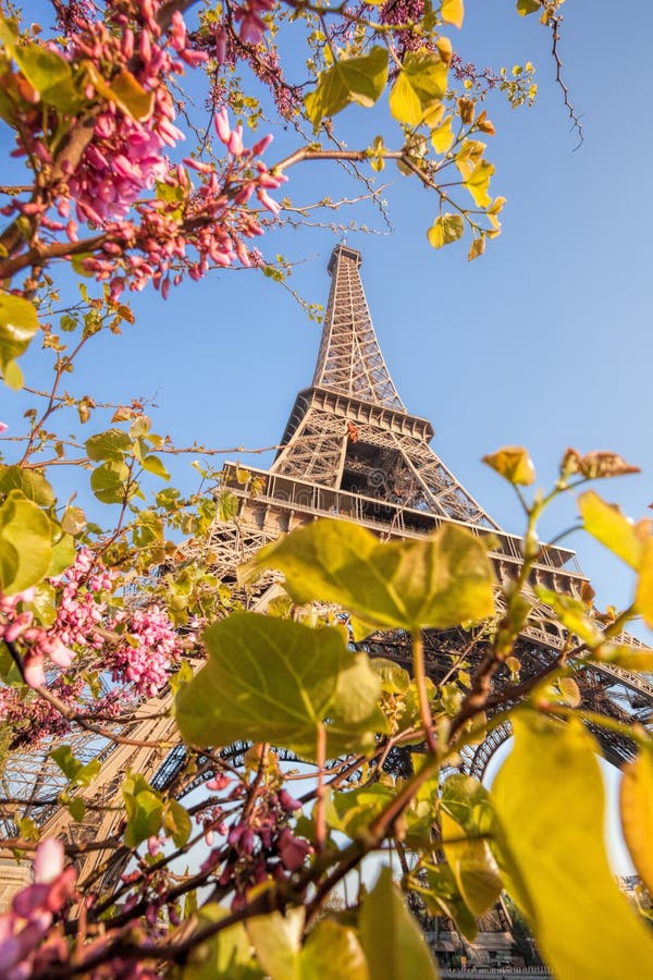 Eiffel Tower during Spring Time in Paris, France Stock Image - Image of ...
