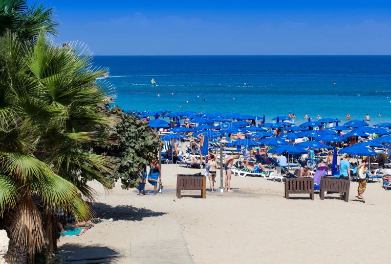 Famous Fig Tree bay beach editorial image. Image of coastline - 78927460