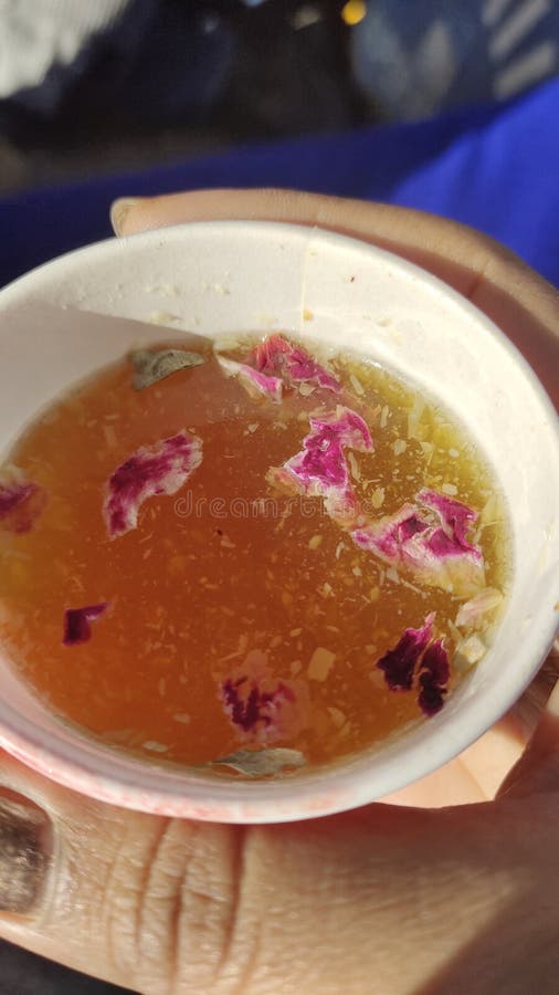 Famous Kawa of Kashmir in Dal Lake Stock Photo - Image of famous, kawa ...