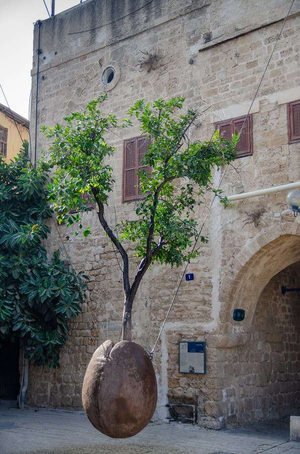 Famous Levitated Citrus Tree in Old Jaffa Stock Image - Image of ...