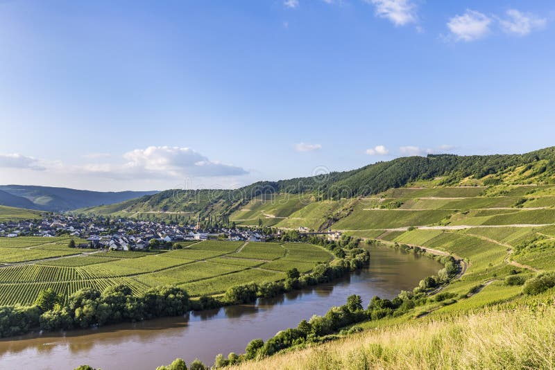 Famous Moselle Loop at Trittenheim Stock Photo - Image of travel ...