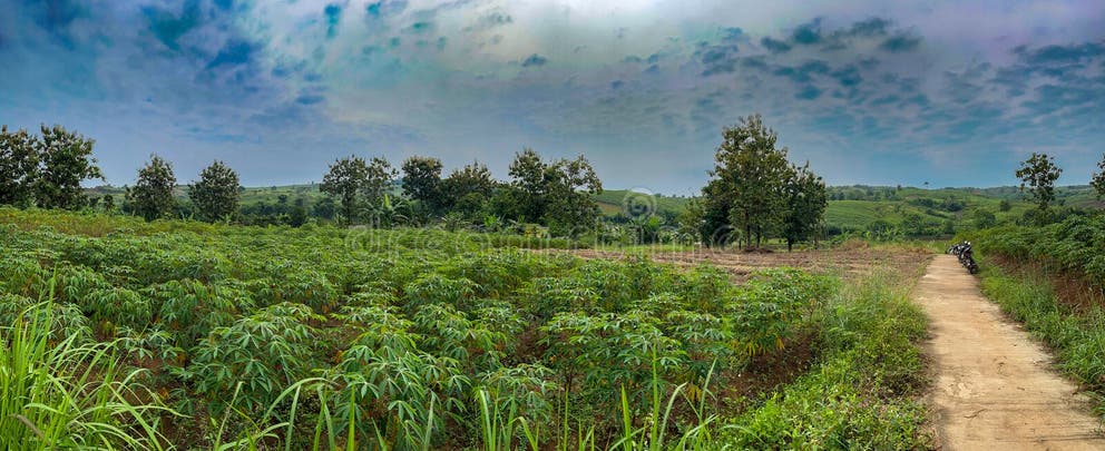 Famous Panoramic Farm Landscape Cloudy Sky Stock Image - Image of grass ...