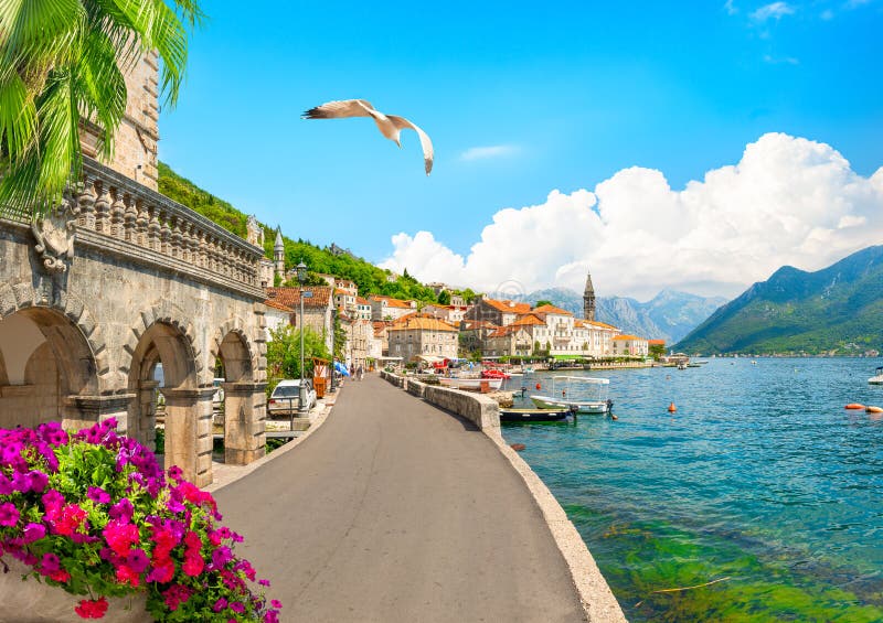 Beautiful bay in Perast stock photo. Image of landmark - 240181760