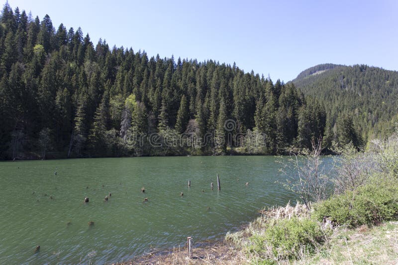 Famous red lake in Romania stock photo. Image of canyon - 138374032