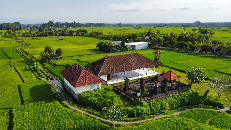 The Famous Rice Fields of Bali, Indonesia, Seen from Above Stock Photo ...