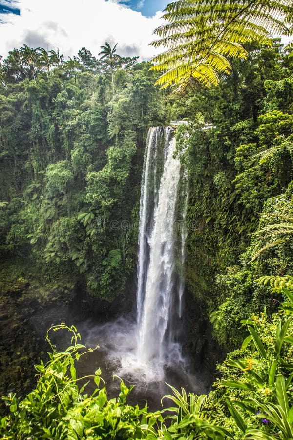 Famous Waterfall In Forest After Tropical Rain. Samana. Stock Photo ...
