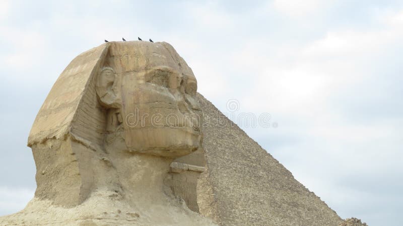 Great Sphinx Aerial Stock Photos - Free & Royalty-Free Stock Photos ...