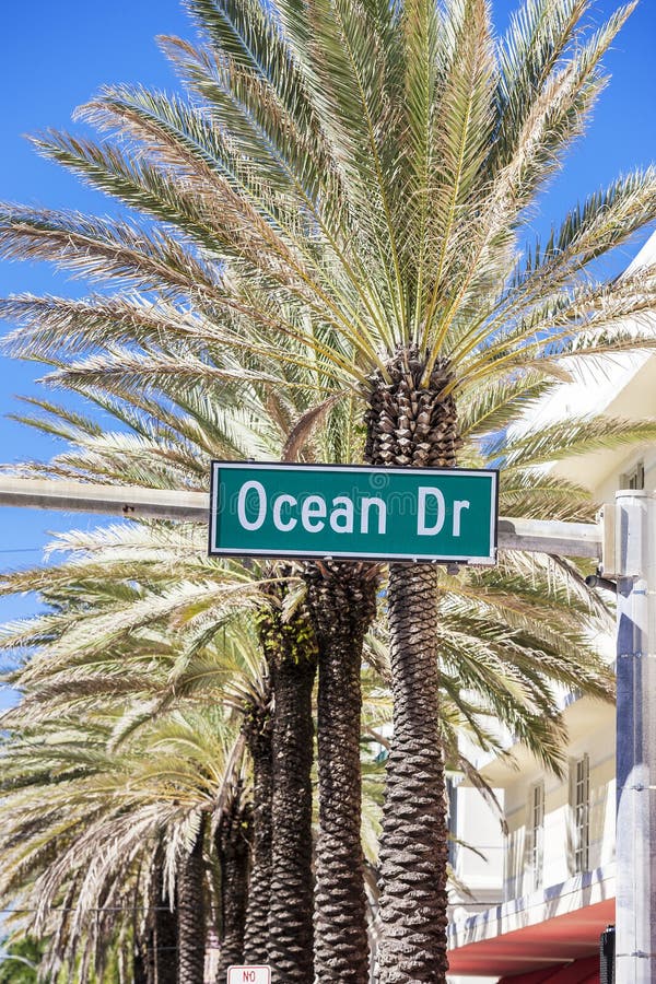 Famous Street in Miami Beach Stock Photo - Image of deco, miami: 46091148