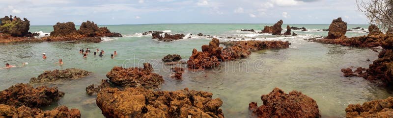 Famous Tambaba Beach in Paraiba, Brazil Stock Photo - Image of tree ...