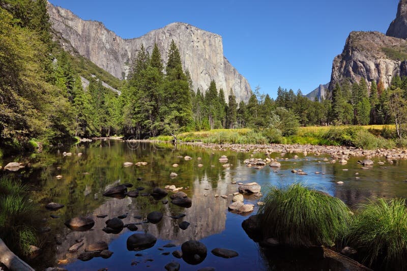The Famous Valley of the Merced River Stock Photo - Image of tree ...