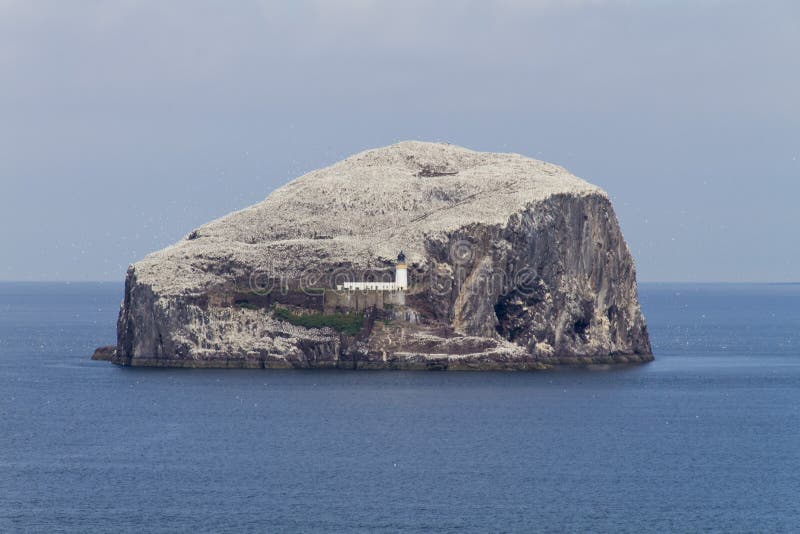 Lighthouse on the Bass Rock, Scotland Stock Image - Image of rock ...