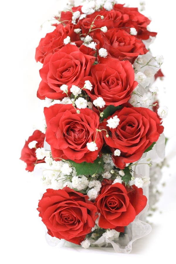 Fan stock photo. Image of bride, flowers, plant, rose - 15352706