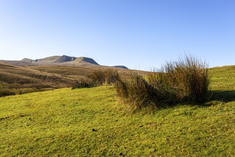 Fan Brycheiniog, Brecon Beacons National Park Stock Image - Image of ...